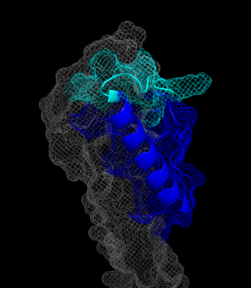 CyclicTx - AI-Powered Cyclic Peptide Design